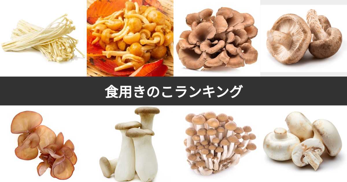 【人気投票 1~23位】きのこの種類ランキング！みんなが好きな食用きのこは？ | みんなのランキング